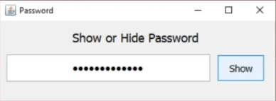 JPasswordField in Java Hide or Show Password | 100% best for beginners